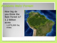 PPT – The Great Kapok Tree A Tale of the Amazon Rain Forest by Lynne Cherry PowerPoint ...