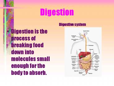 PPT – Digestion PowerPoint presentation | free to view - id: 85003f-MGI2O
