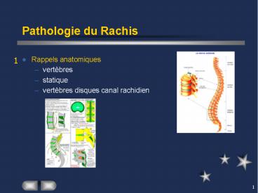 Pathologie du Rachis presentation | free to download