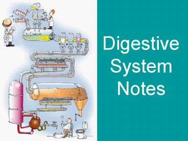 PPT – Digestive System Notes PowerPoint presentation | free to view ...