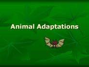 PPT – Animal Adaptations PowerPoint presentation | free to view - id ...