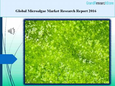 PPT – Global Microalgae Market Research Report 2016 PowerPoint ...