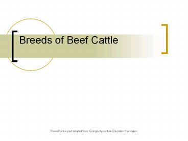 Breeds of Beef Cattle presentation | free to view