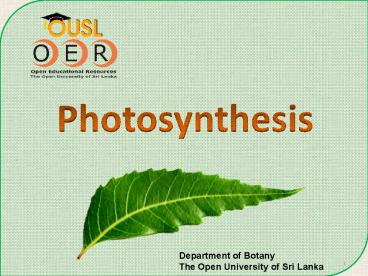Photosynthesis presentation | free to view