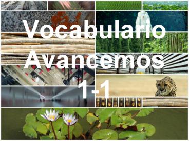 PPT – Vocabulario Avancemos 1-1 PowerPoint presentation | free to view ...