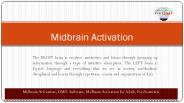 PPT – Midbrain Activation for Adult Development PowerPoint presentation ...