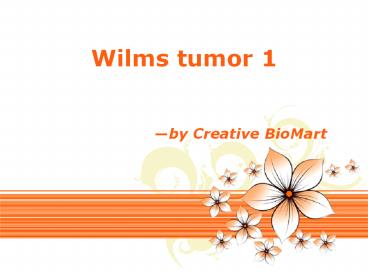 Wilms tumor 1 presentation | free to download