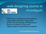 PPT – Professional Web Designing Company in Chandigarh PowerPoint ...