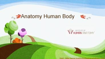 Anatomy Human Body presentation | free to download