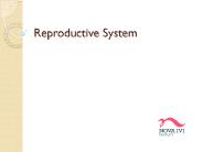 PPT – Human Reproductive System PowerPoint presentation | free to ...