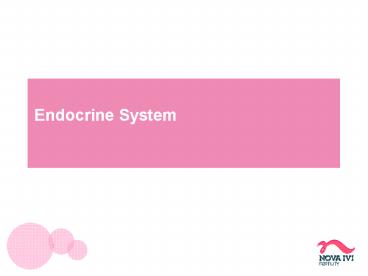 PPT – ENDOCRINE SYSTEM PowerPoint presentation | free to view - id ...