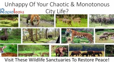 Wildlife Sanctuaries In India presentation | free to download