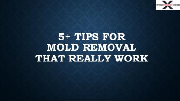 5+ Tips for Mold Removal That Really Work presentation | free to download