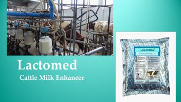 Cattle milk enhancer presentation | free to download