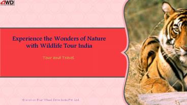 Experience the Wonders of Nature with Wildlife Tour India presentation ...