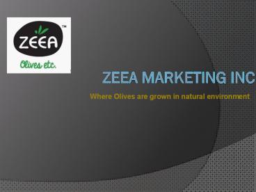 PPT – Zeea Marketing Inc - where Olives are Produced Traditionally ...
