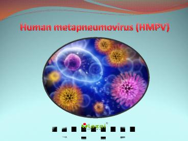 Human metapneumovirus (HMPV): A common cause of respiratory illness (1 ...