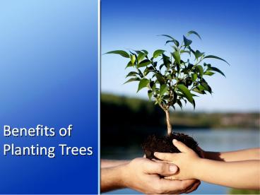 PPT – Benefits of Planting Trees PowerPoint presentation | free to ...