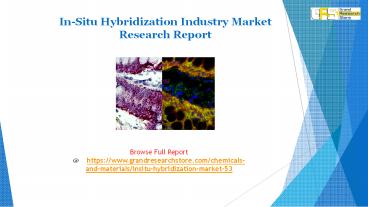 PPT – In-Situ Hybridization Industry Market Research Report PowerPoint ...