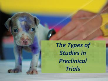 Types of Preclinical Studies presentation | free to download