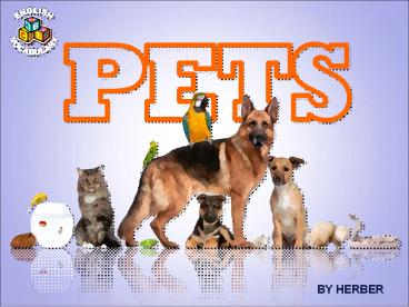 Let Us Talk about Pets presentation | free to download