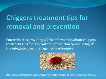 CHIGGERS TREATMENT TIPS FOR REMOVAL AND PREVENTION presentation | free ...