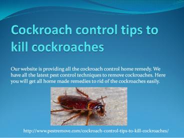 PPT – Cockroach control tips to kill cockroaches PowerPoint ...