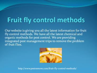 Fruit fly control methods presentation | free to download