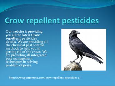 PPT – CROW REPELLENT PESTICIDES PowerPoint presentation | free to ...