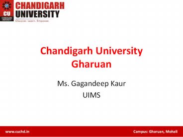 BasicNeeds Chandigarh University,Gharuan presentation | free to download