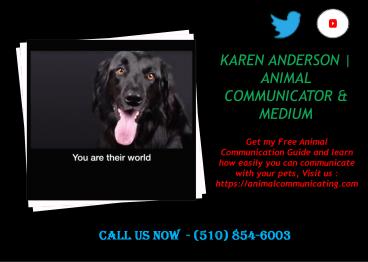 PPT – Animal Communication PowerPoint presentation | free to download ...