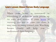 PPT – Horse Riding Lessons in Dorset, UK PowerPoint presentation | free ...