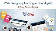 PPT – Professional Web Designing Company in Chandigarh PowerPoint ...