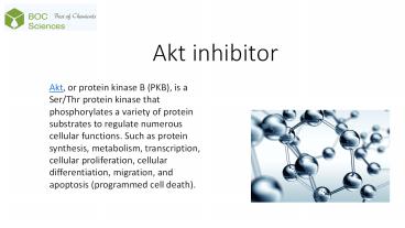 Akt inhibitor presentation | free to download