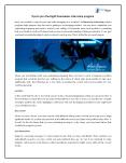 PPT – Blue Magic’s Divemaster Internship PowerPoint presentation | free to download - id: 8c60ac ...