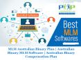 PPT – Binary Plan MLM Software | Binary Matrix MLM | +91-9354669433 PowerPoint presentation ...