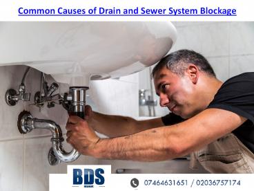 PPT – Common Causes of Drain and Sewer System Blockage PowerPoint ...