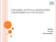 PPT – CHARTERED ACCOUNTANT PowerPoint presentation | free to download ...