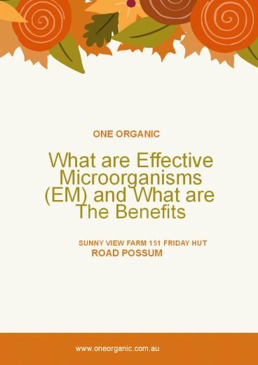 What are Effective Microorganisms (EM) and What are The Benefits ...