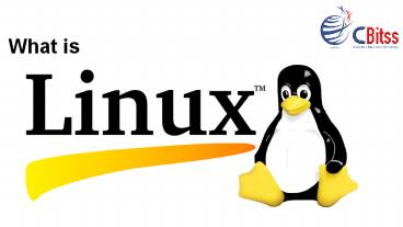 PPT – introduction of linux | linux training in Chandigarh PowerPoint ...