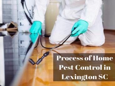 PPT – Process of Home Pest Control in Lexington SC by Columbia ...