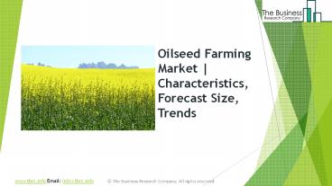Oilseed Farming Global Market Report 2019 presentation | free to download