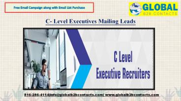 C Level Executives Mailing Leads presentation | free to download