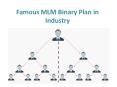 PPT – Binary Plan MLM Software | Binary Matrix MLM | +91-9354669433 ...