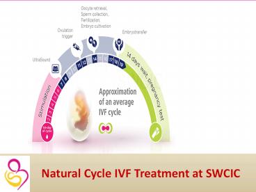 PPT – Natural Cycle IVF PowerPoint presentation | free to download - id ...