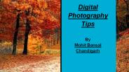 PPT – Digital Photography Tips PowerPoint presentation | free to ...