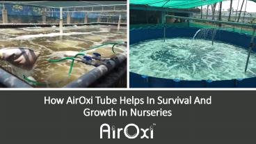 How AirOxi Tube Helps In Survival And Growth In Nurseries presentation ...