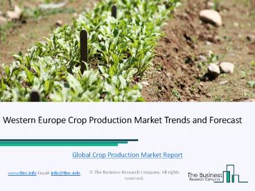 PPT – Global Crop Production Market Research Report PowerPoint ...