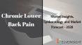 PPT – Acute Low Back Pain PowerPoint presentation | free to view - id ...