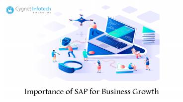 PPT – Importance of SAP for Business Growth PowerPoint presentation ...